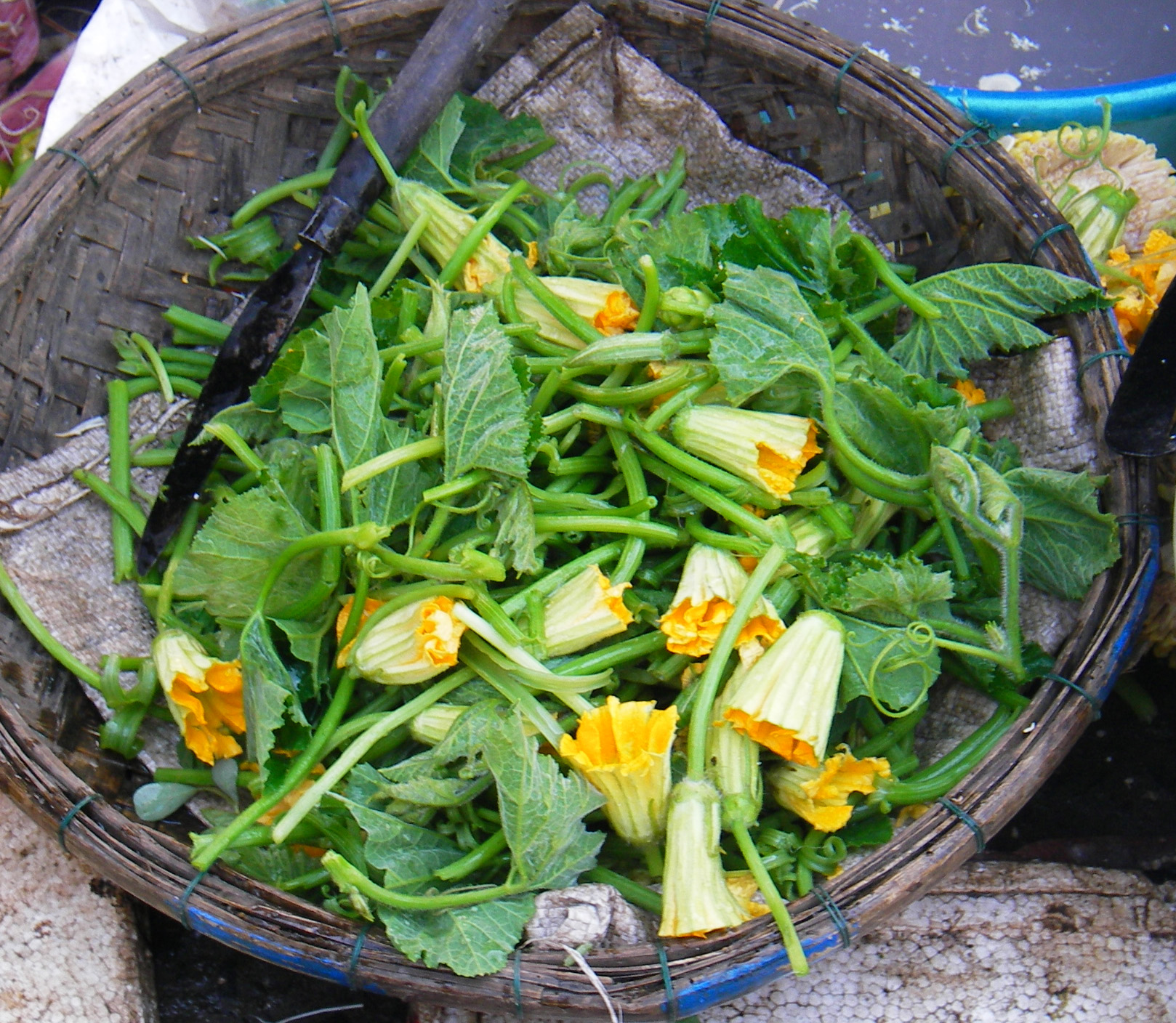 ~Kabocha Blossom and Leaf~ | Pranee's Thai Kitchen