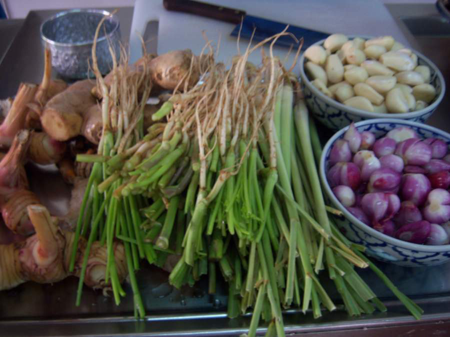 ~Cilantro roots, Truely Authentic Thai~ | Pranee's Thai Kitchen