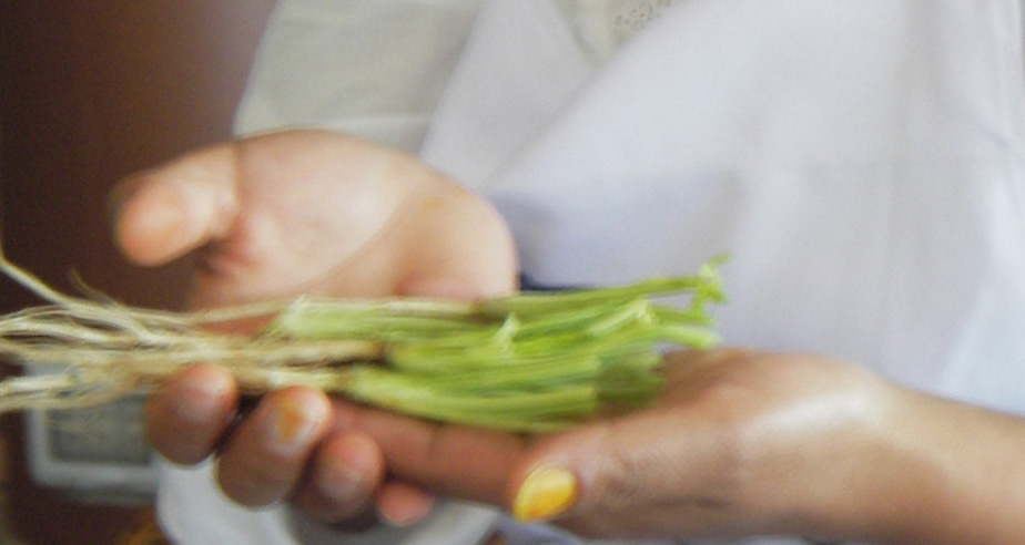 ~Cilantro roots, Truely Authentic Thai~ | Pranee's Thai Kitchen