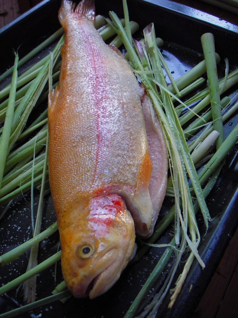 ~Steamed Golden Trout with Lime-Chili-Garlic-Dill Sauce Recipe ...