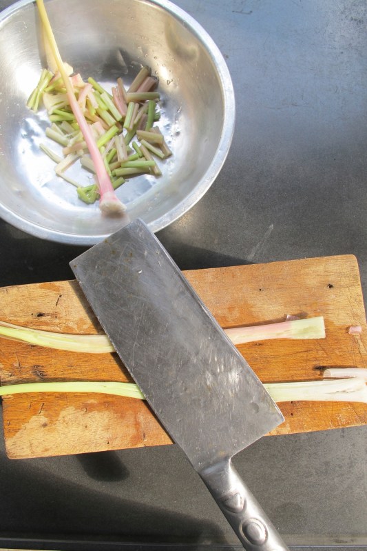 ~Young Galangal and Tender Stem – Kha Oon – ข่าอ่อน-หน่อข่าอ่อน ...