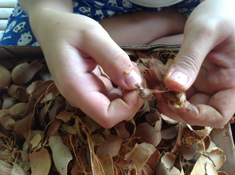 ~How to Prepare Tamarind Pods~ | Pranee's Thai Kitchen
