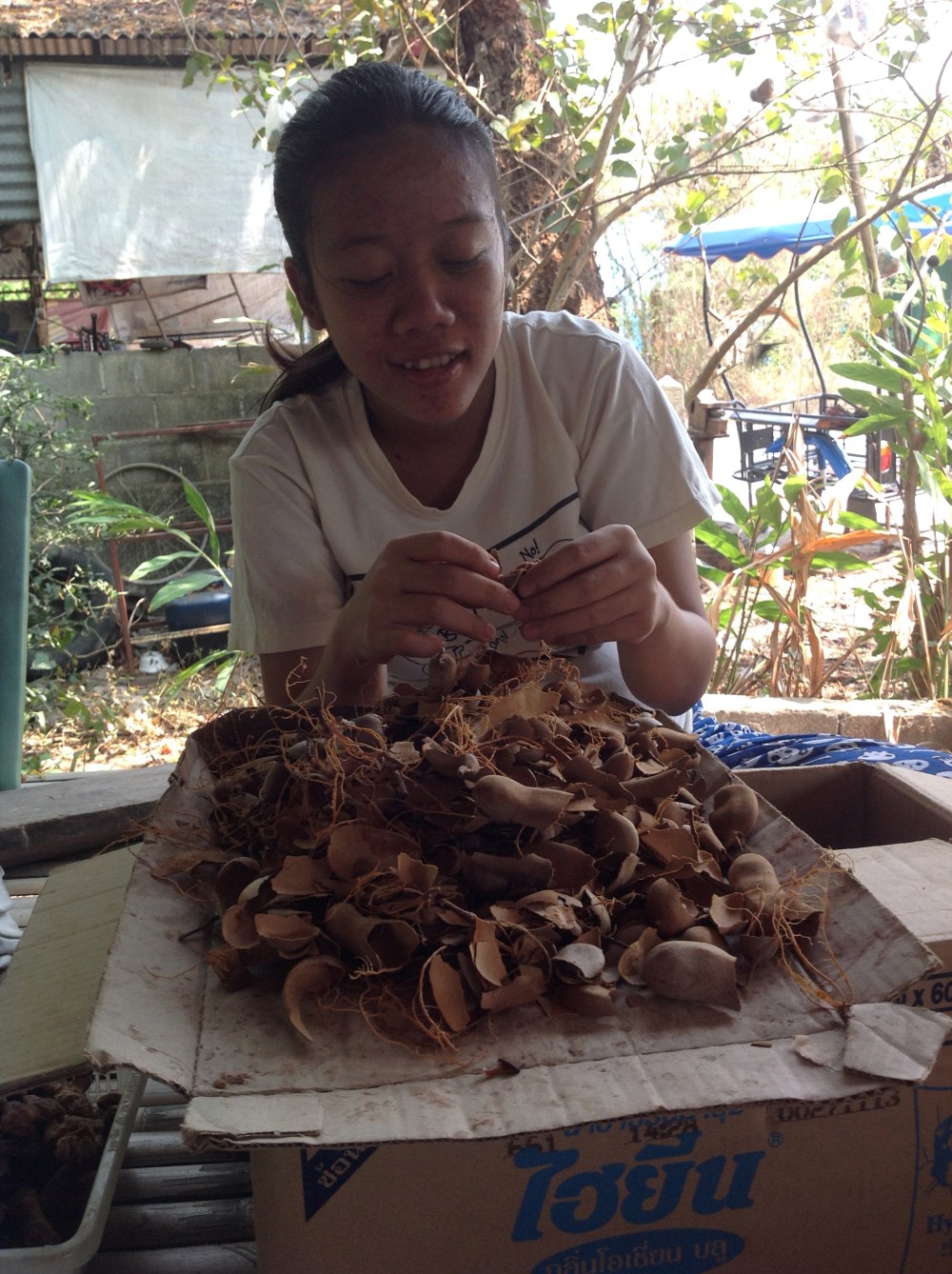 ~How to Prepare Tamarind Pods~ | Pranee's Thai Kitchen