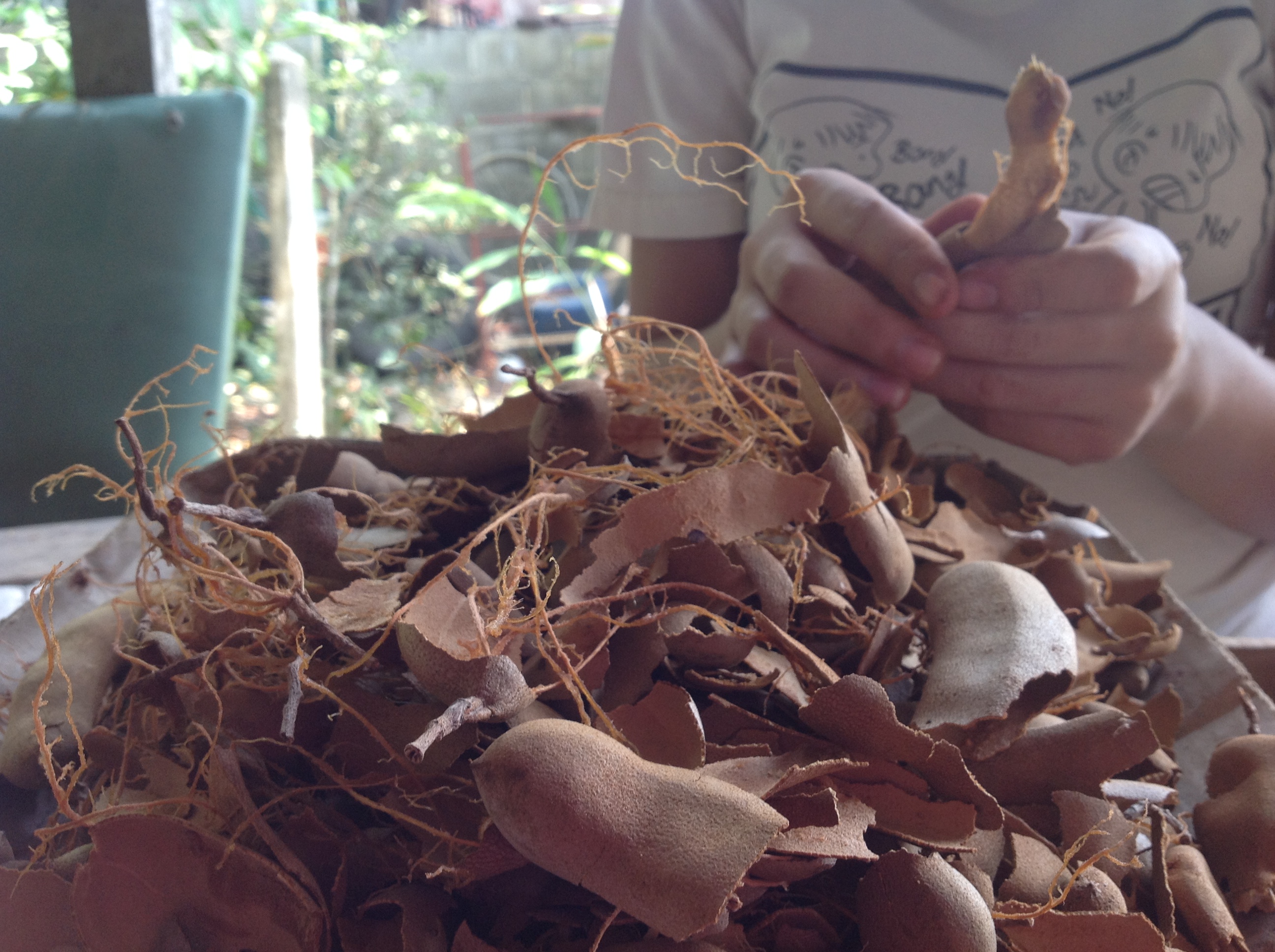 ~How to Prepare Tamarind Pods~ | Pranee's Thai Kitchen