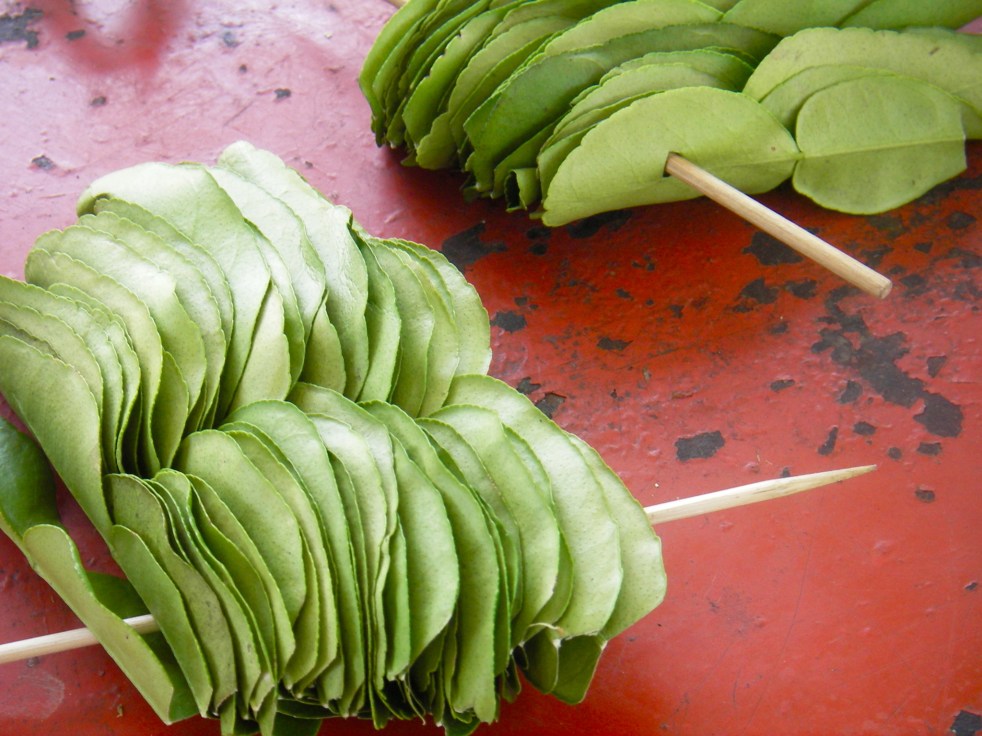 ~Kaffir Limes and Kaffir Leaves~ | Pranee's Thai Kitchen