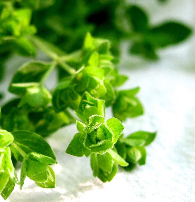 ~Oregano Flowers Fried Rice with Tomato and Garlic~ | Pranee's Thai Kitchen