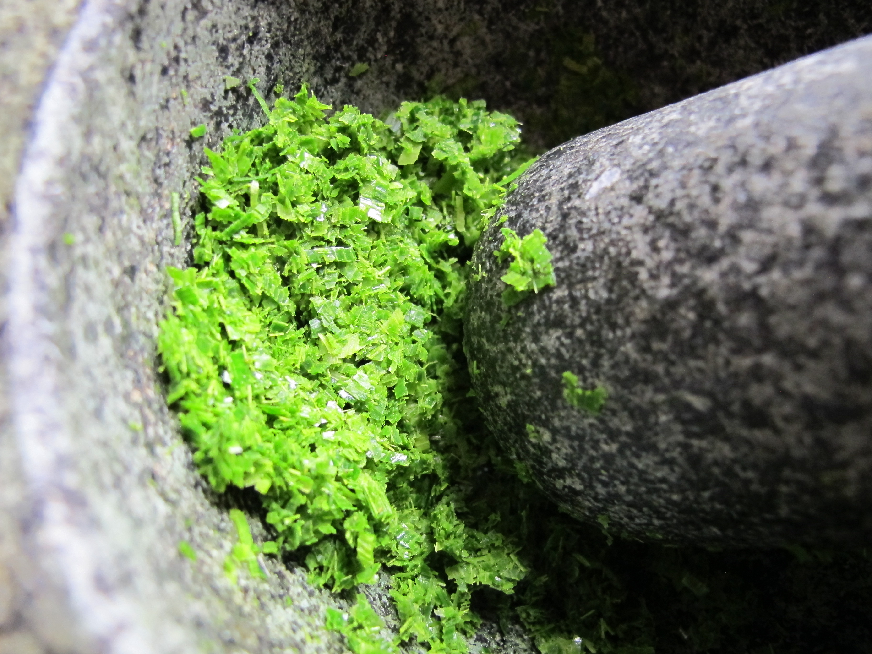 ~Green Pandan Water – น้ำใบเตย, Pandan Extract Recipe~ | Pranee's Thai ...
